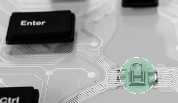 Network Plus La seguridad más avanzada para tu empresa